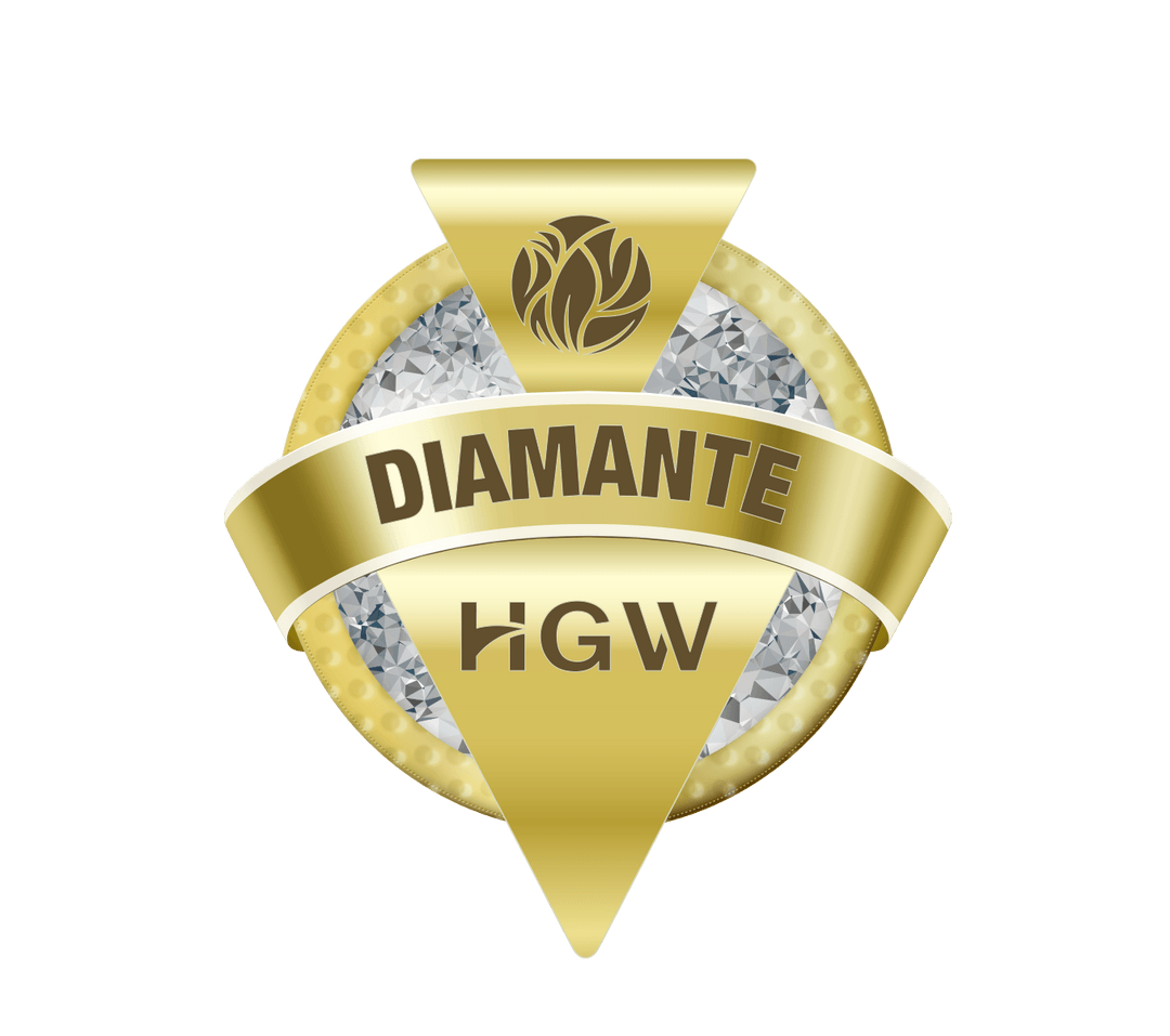 HGW Bolivia